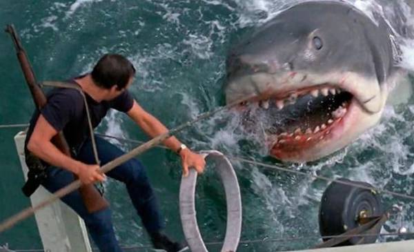 Cinco películas de tiburones asesinos para ver si te gustó Jaws | El ...