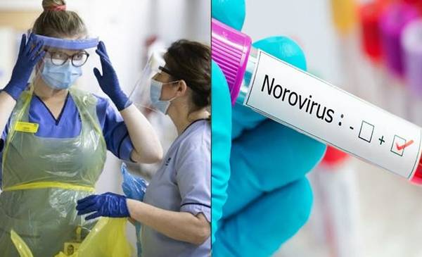 Qué es el norovirus: síntomas, cómo evitarlo y tratamiento de la enfermedad que alerta al Reino ...