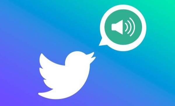 La novedad que decepcionó a los usuarios: así se podrá enviar audios ...