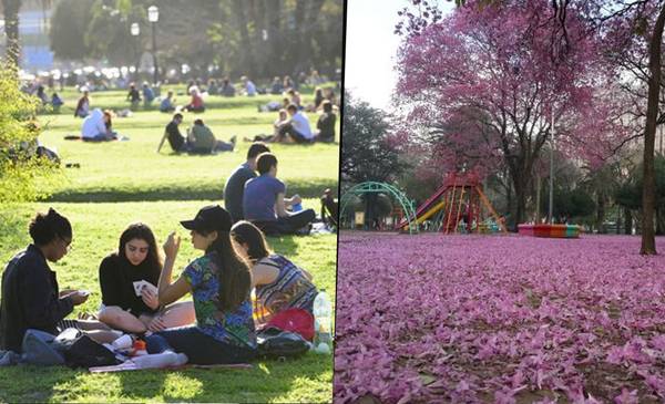 Cuándo empieza la primavera 2021 en Argentina y por qué: la fecha y ...