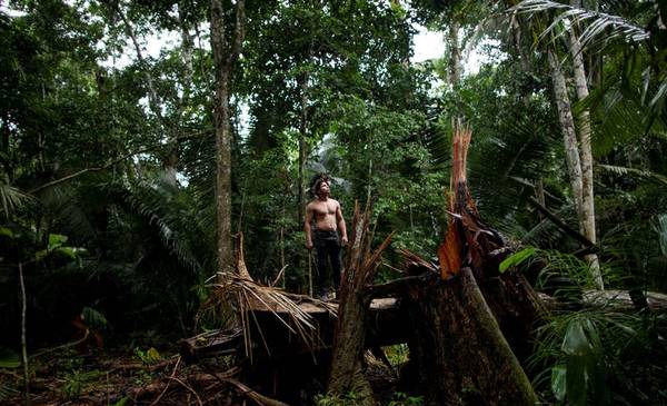 La batalla por detener la deforestación del Amazonas queda al ...