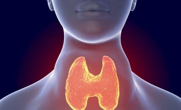 Hipotiroidismo e hipertiroidismo: síntomas, diagnóstico y tratamiento ...