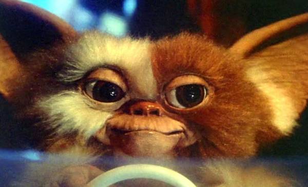 Gremlins en Netflix: 4 curiosidades del clásico de terror navideño | El ...