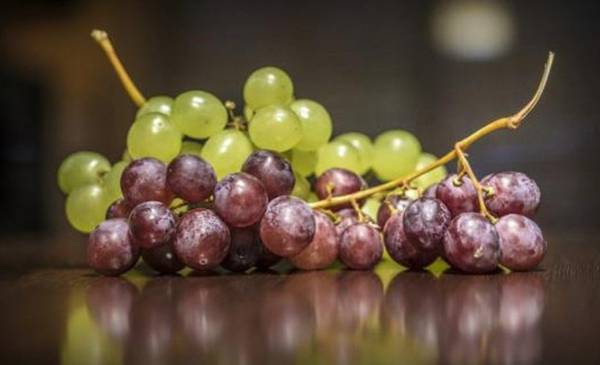 ¿Por qué se comen 12 uvas en la víspera del Año Nuevo? | El Destape